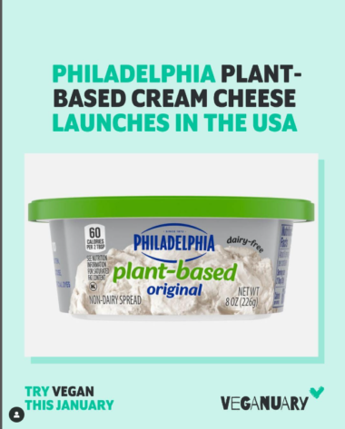 Plant-Based Industry and How to Market a Plant-Based Brand | The Shelf